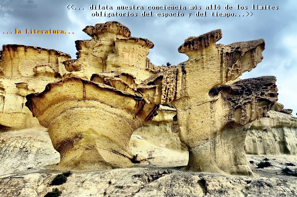 Un saber inútil - El Periódico de Villena